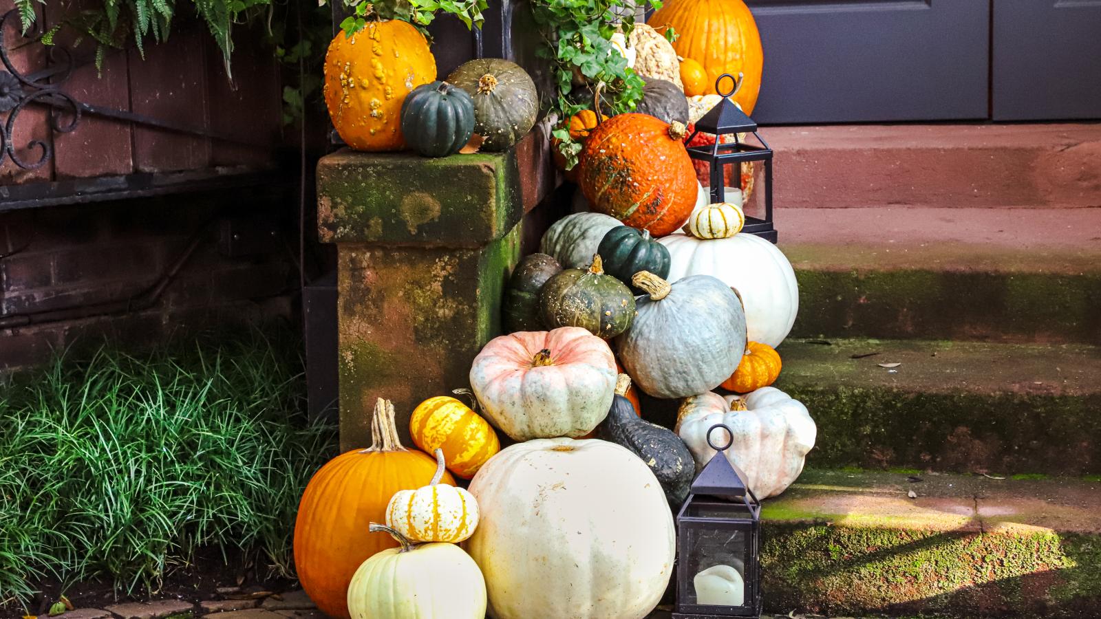 Visit Savannah | The Official Guide to Savannah, GA