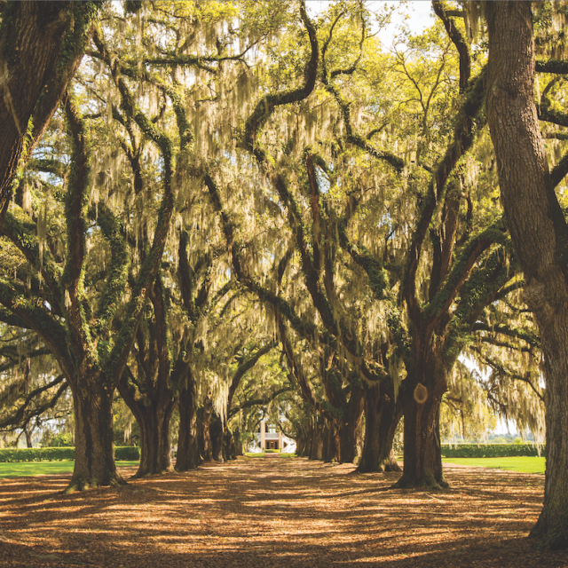 The Ford Field & River Club | VisitSavannah.com