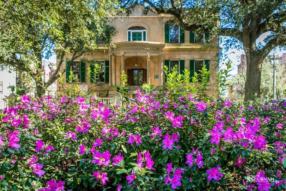 Savannah Flowers | VisitSavannah.com