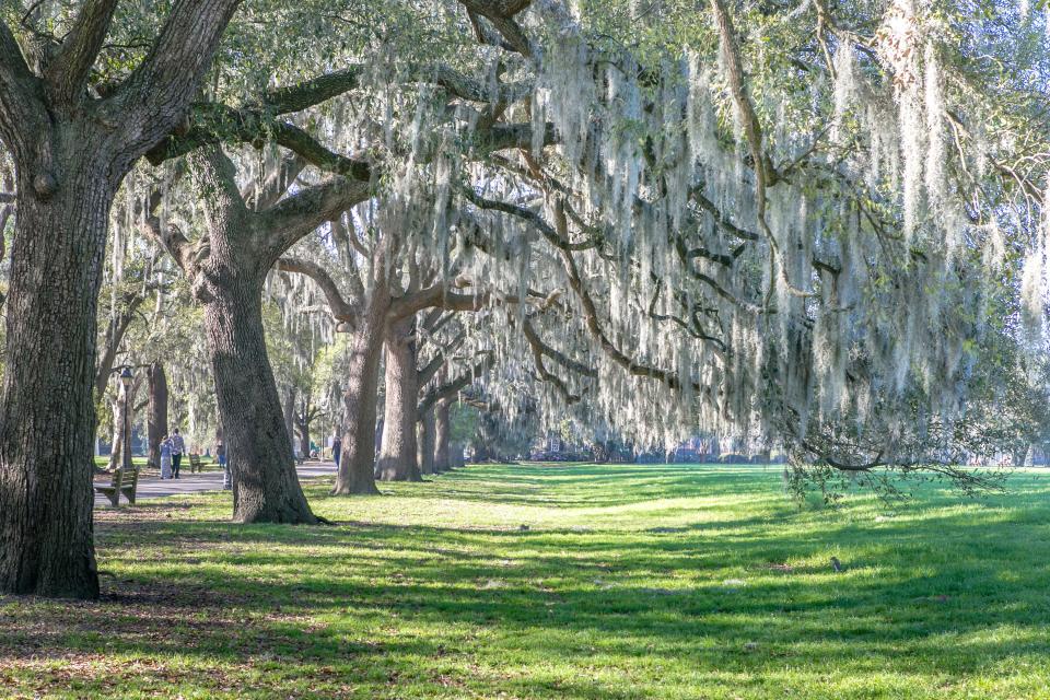 Spring in Savannah | VisitSavannah.com