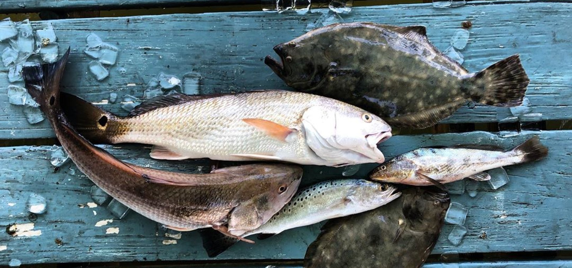 Fishing in Savannah | VisitSavannah.com