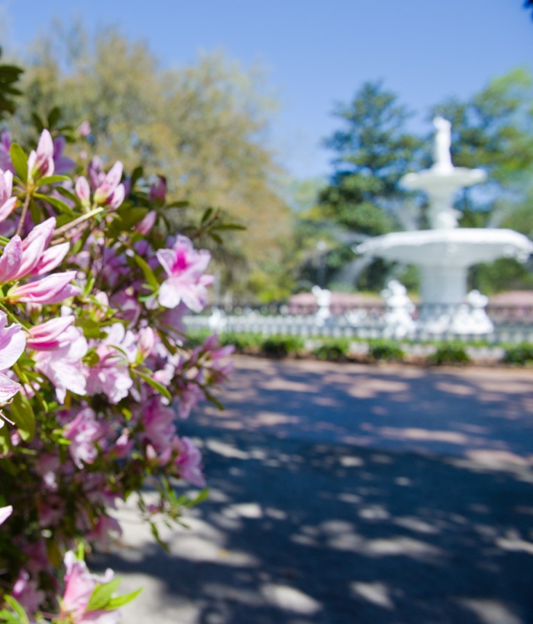 Visit Savannah | The Official Guide to Savannah, GA