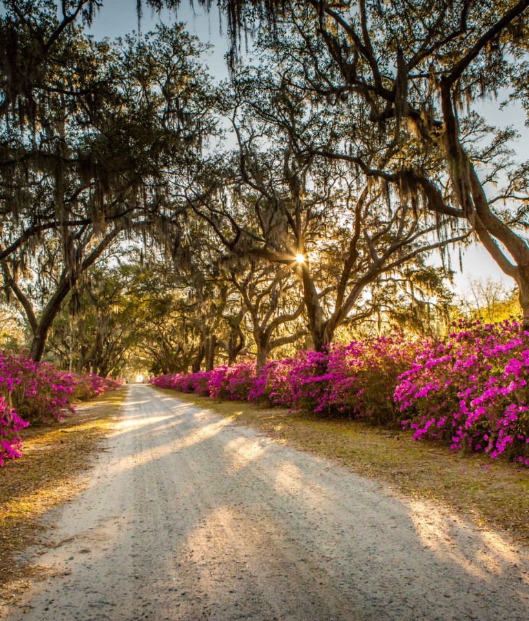 Courtney Martin | VisitSavannah.com