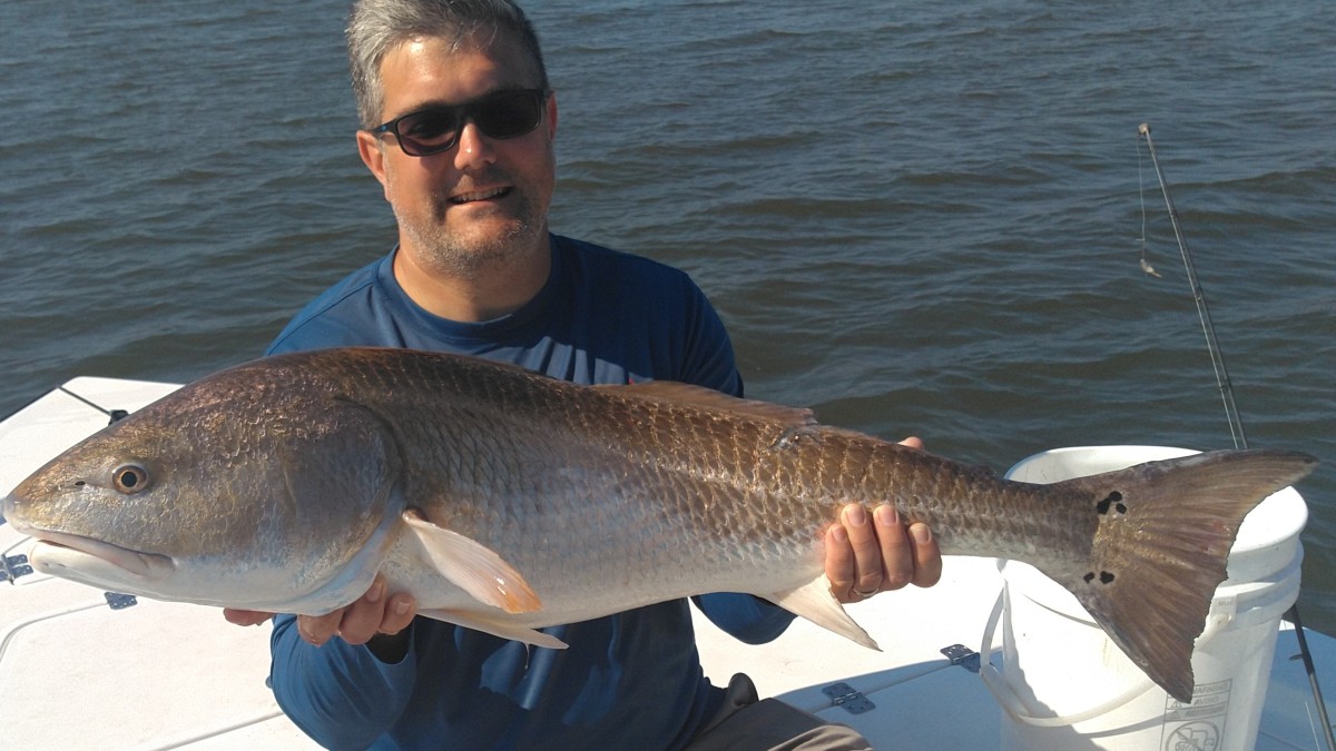 A Guide to Fishing in Savannah | Visit Savannah