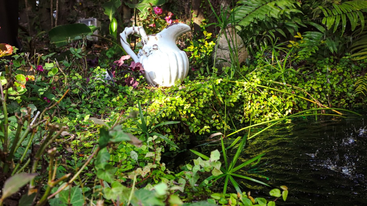 Savannah Flowers | Visit Savannah