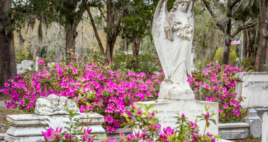 You’ve Got to See These Photos of Azaleas at Bonaventure Cemetery ...