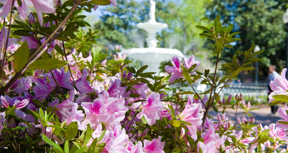 Spring in Savannah | VisitSavannah.com