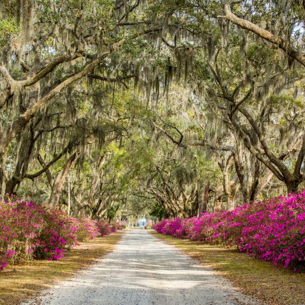 Your Savannah Bucket List | VisitSavannah.com