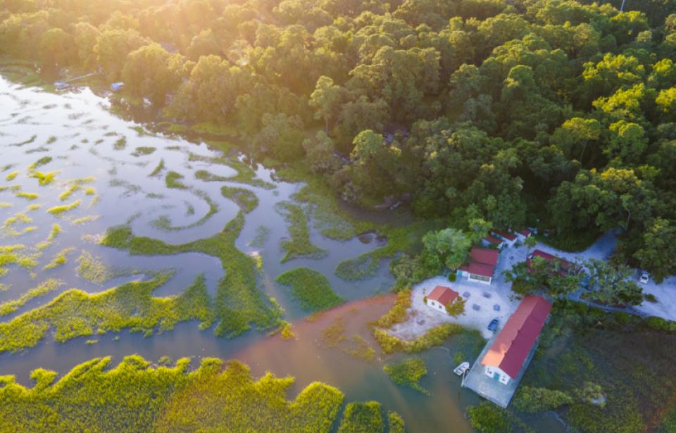 Pin Point Heritage Museum | Visit Savannah