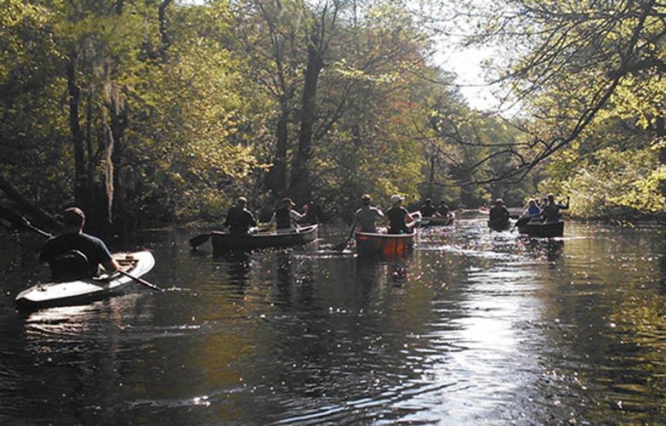 Tours in Savannah | Sightseeing Tours | Visit Savannah